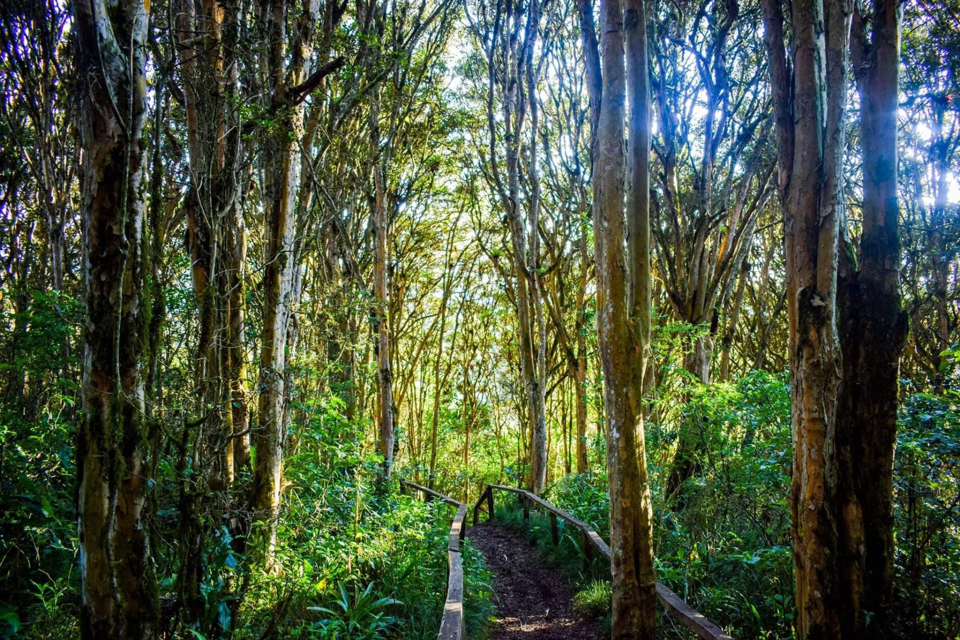 La naturaleza de Imbabura y Carchi es una opción para el feriado - Si ...